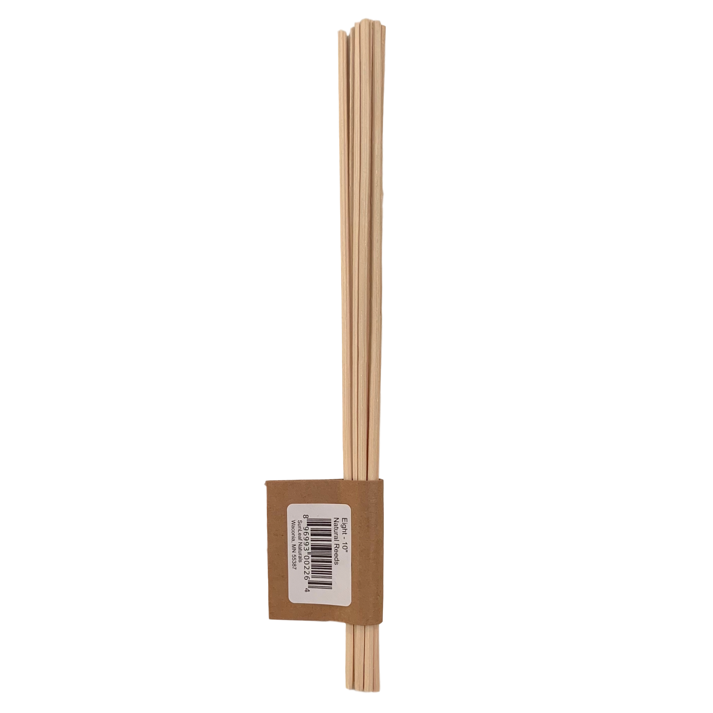 10" Natural Reed Bouquet – SunLeaf®